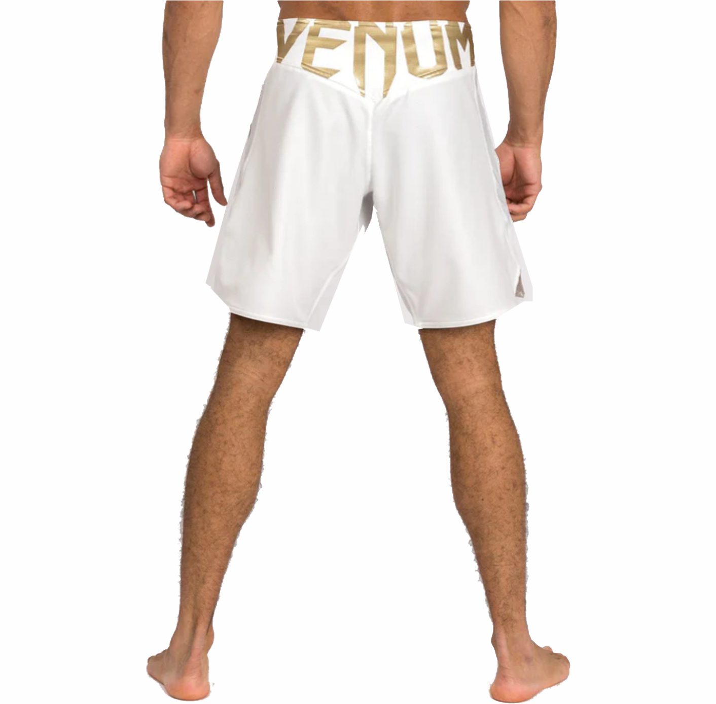 Venum Light 5.0 Fightshort - B-Champs - MMA Store